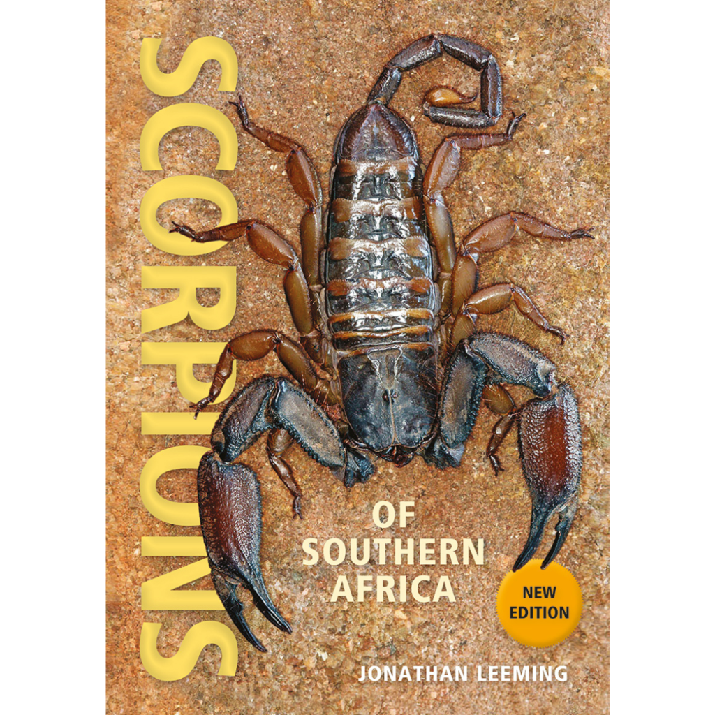 Scorpions of Southern Africa - Jonathan Leeming | Camp And Climb